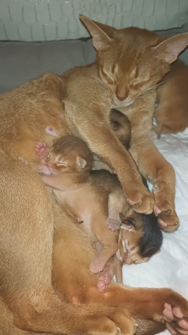 Малявочки. день 3-ий. Танцуем???