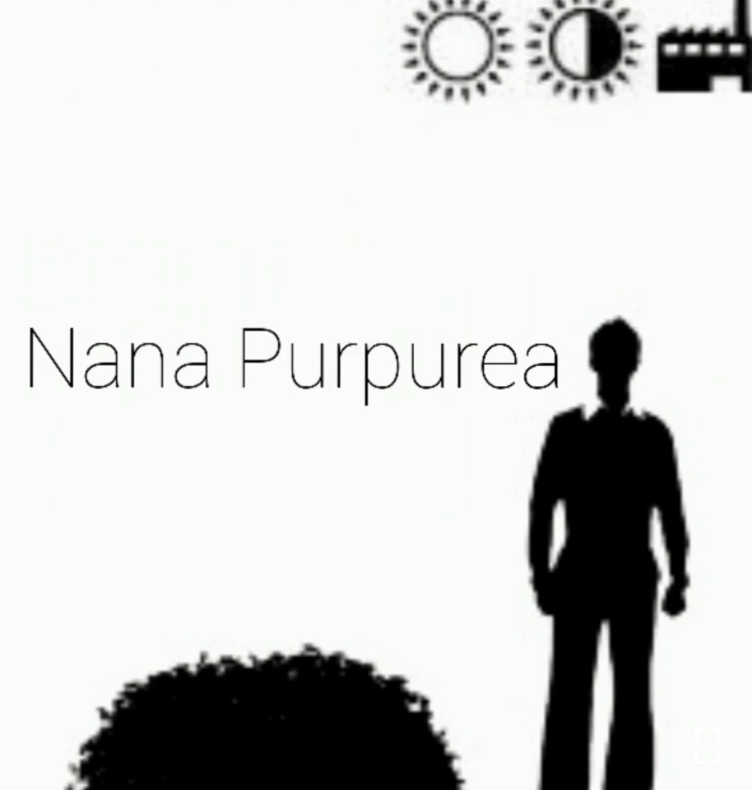 Вейгела цветущая Нана Пурпуреа"Nana Purpurea".