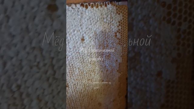 Соты с липовым мёдом