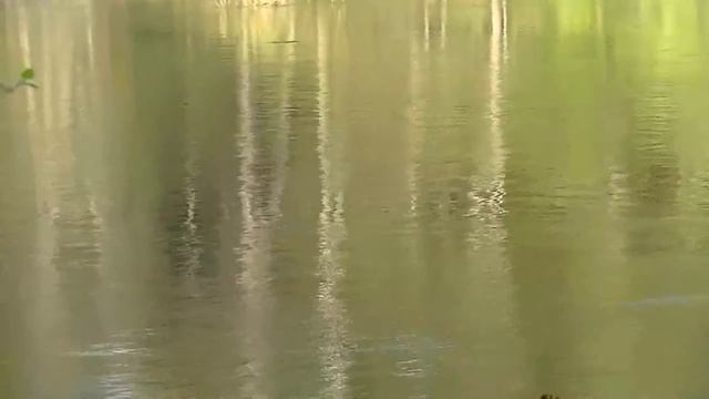 Голоса птиц фильм 7