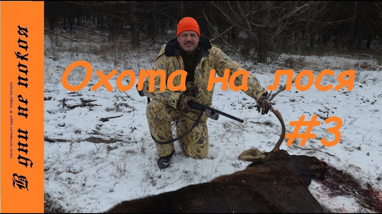Охота на лося. #3. 18+