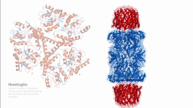 USMLE RX - 1.Биохимия - 1.Клеточная - 13.Протеасома