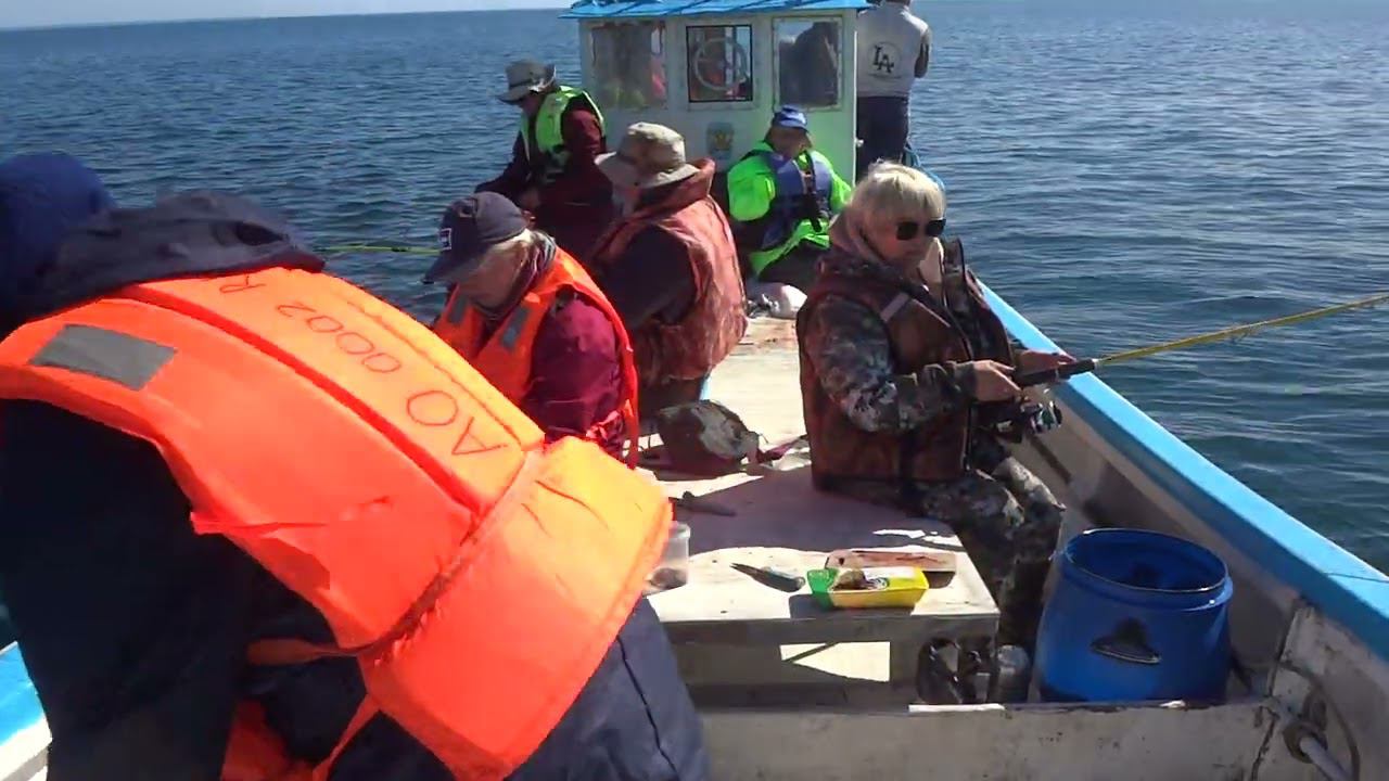 Сахалин. Рыбалка. Камбала.