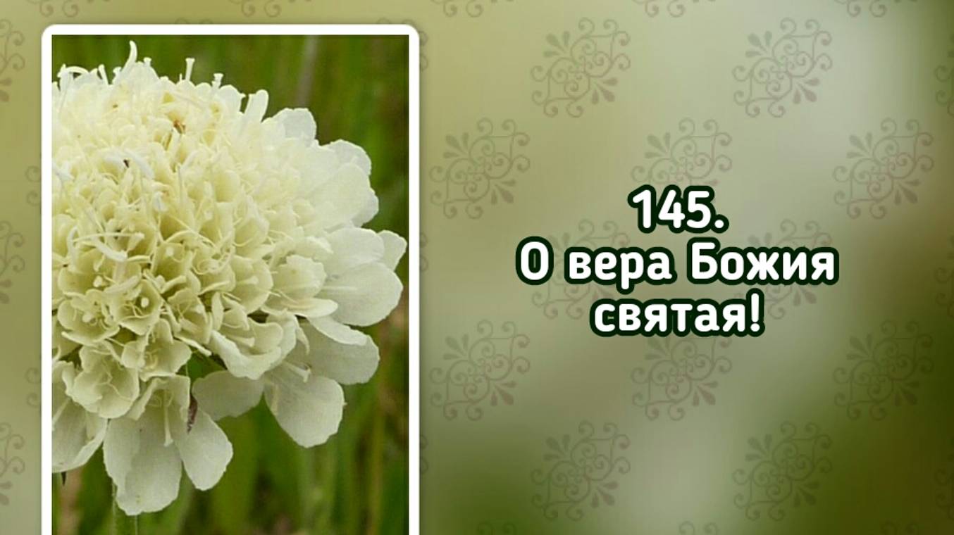 Гимны надежды 145 О вера Божия святая! (-)