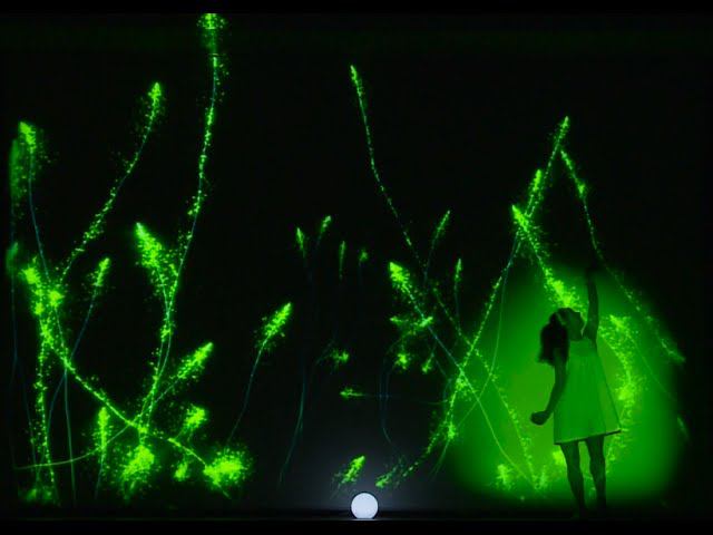 Танцевально-мультимедийное шоу "Времена Года"