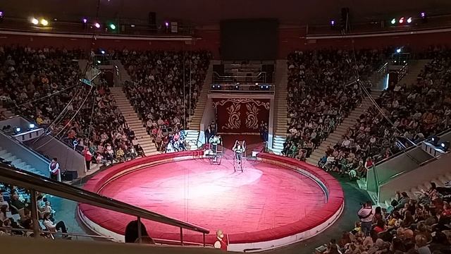 Цирк , город Курск