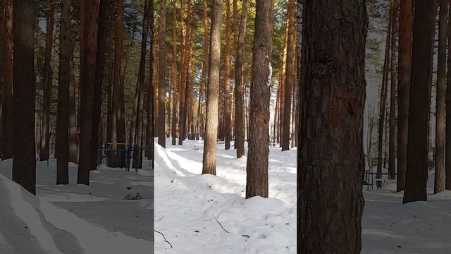 Горки Самолёты в парке Северска