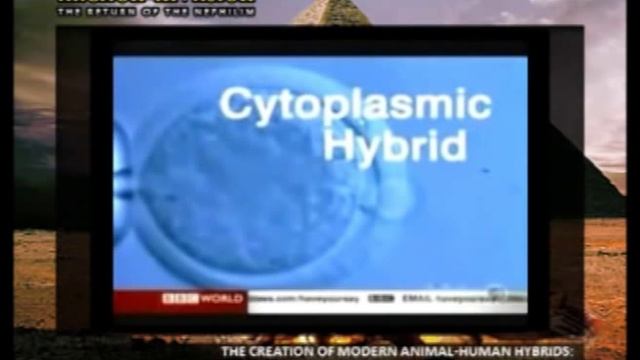 Genesis 6:12 is beginning to happen in our day