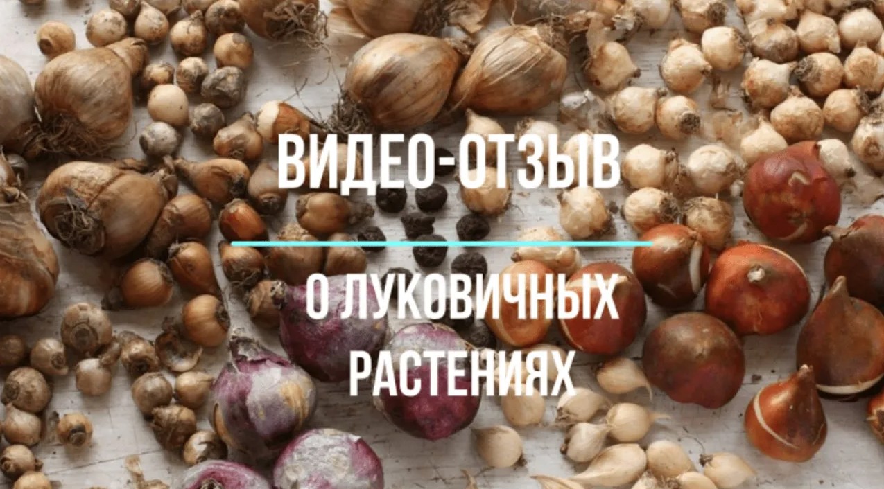 ?Мини-видео-отзыв, с распаковкой посылки из Долины Растений, от наших любимых клиентов❤️