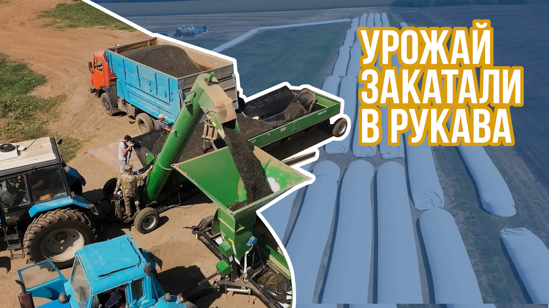 В Тбилисском районе урожай хранят в рукавах. Кубанский аграрный клуб