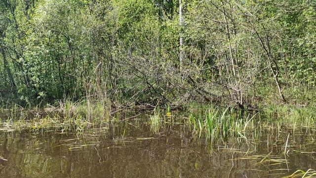 Удачное 20 мая ! Как раньше VID_20240520_163433