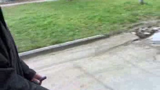 2008 г. 11-12 октября