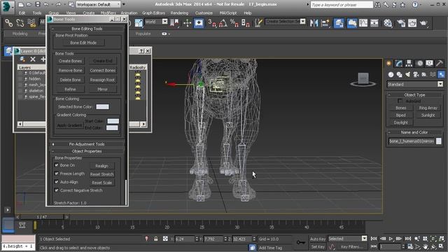 17. Adding bones for the front legs and scapulas