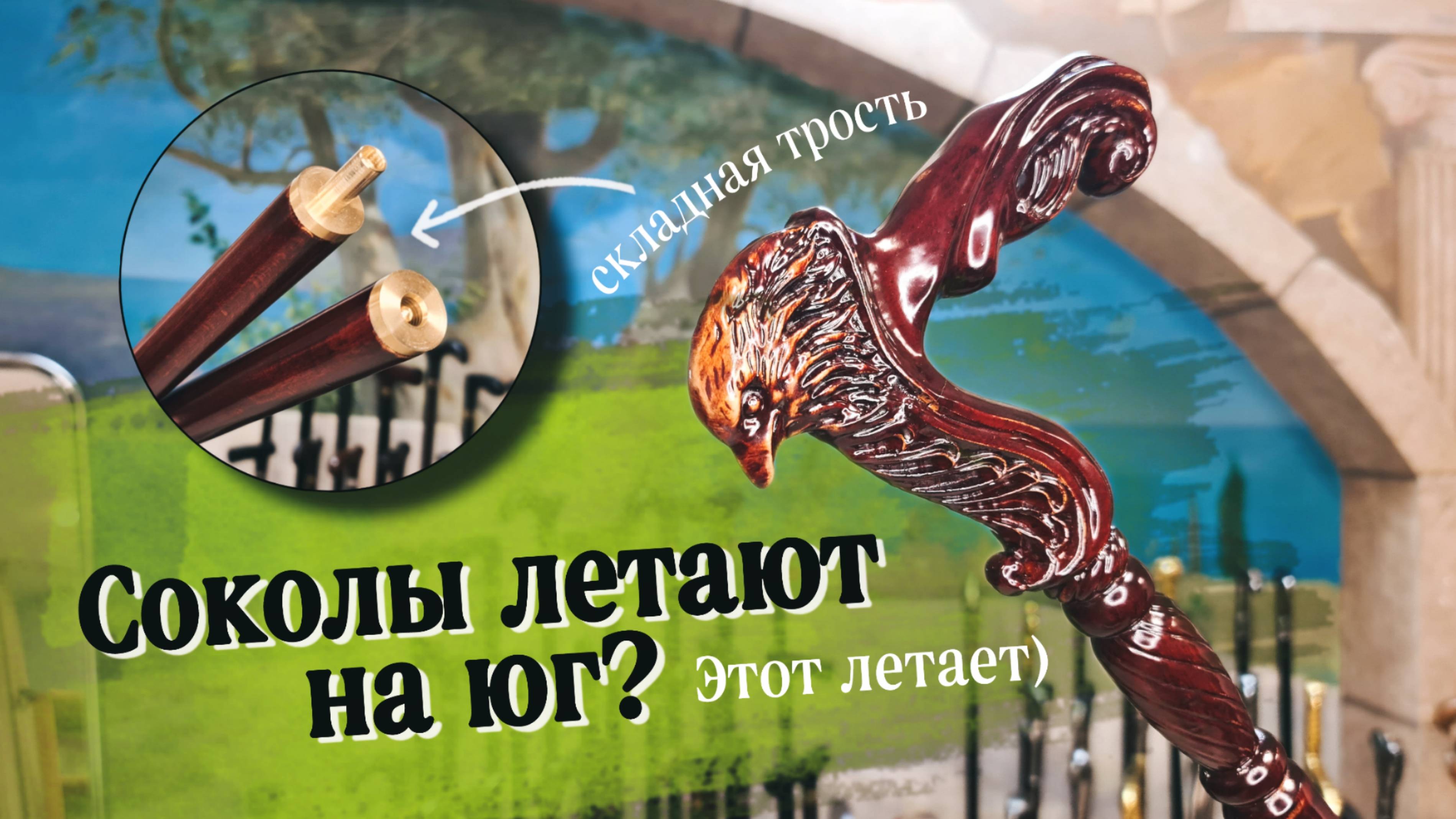 Красивая и складная помощница | Трость-Сокол путешественник