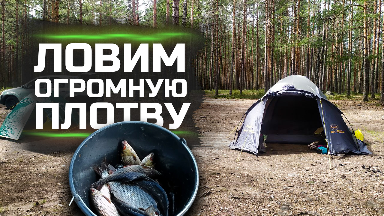Рыбалка с ночевкой. Ловим большую плотву, ставим живца на щуку. Готовим на костре