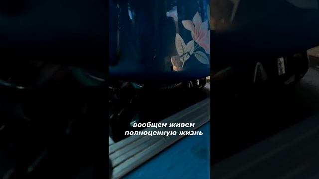 Жизнь в автодоме Мазда Бонго Френди на Витязево. Один день из жизни вэнлайферов.