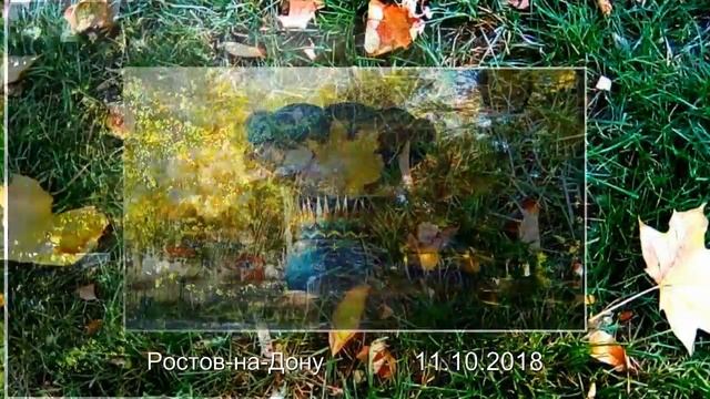 Октябрьский денёк