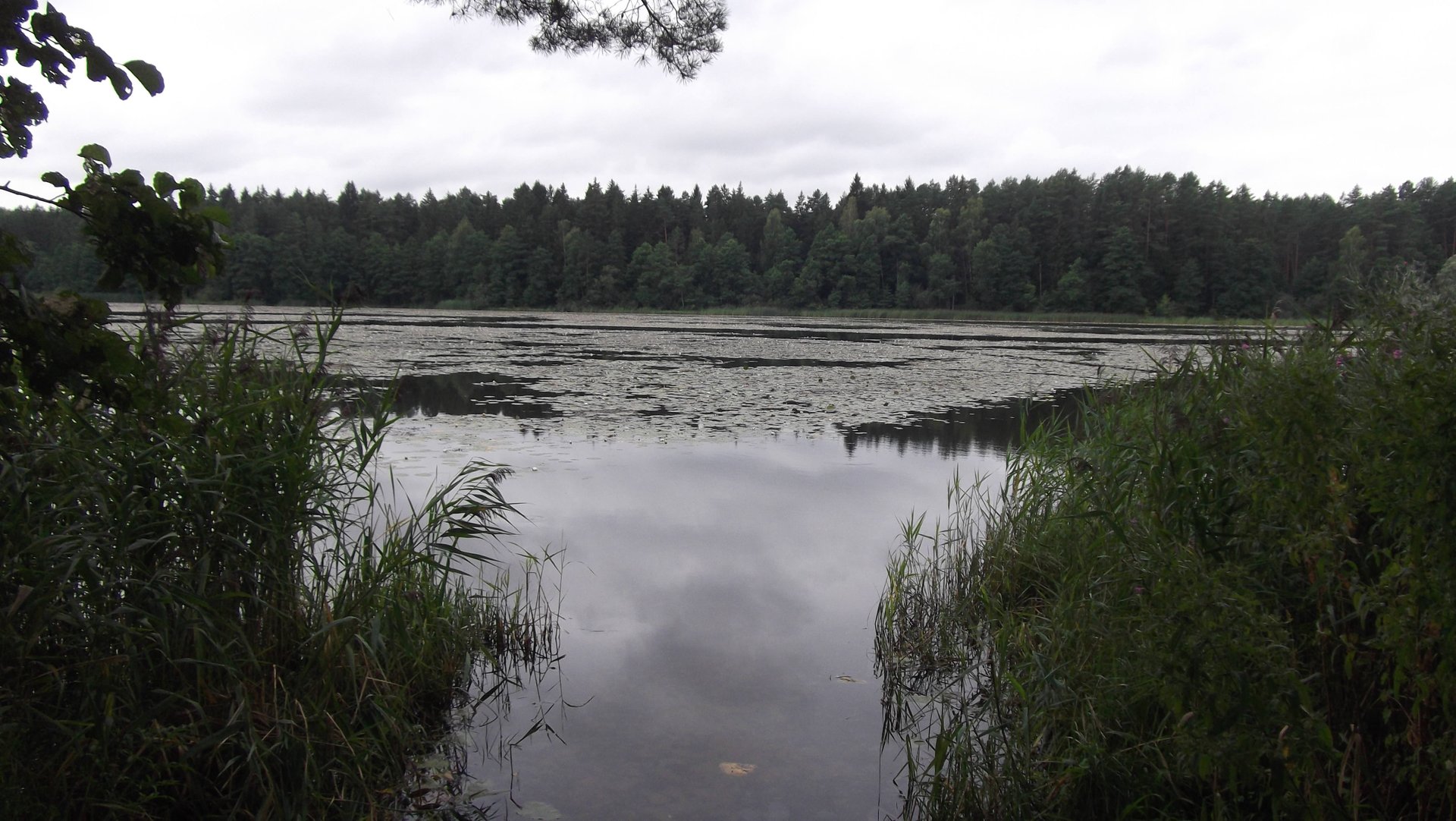 Велопутешествие по Беларуси. Часть 5-я