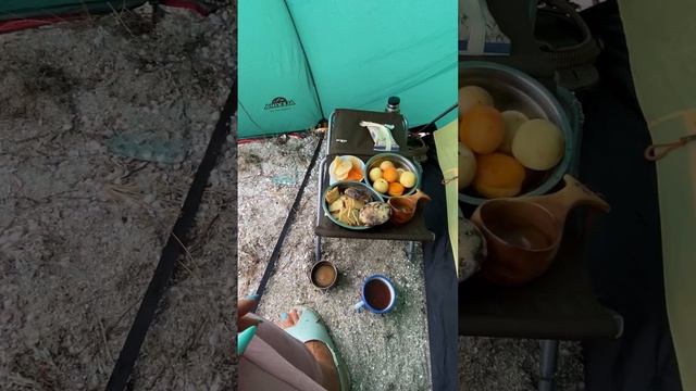 Крым 2020. Арабатская стрелка. Дикие лисы, медузы и прочие приключения.