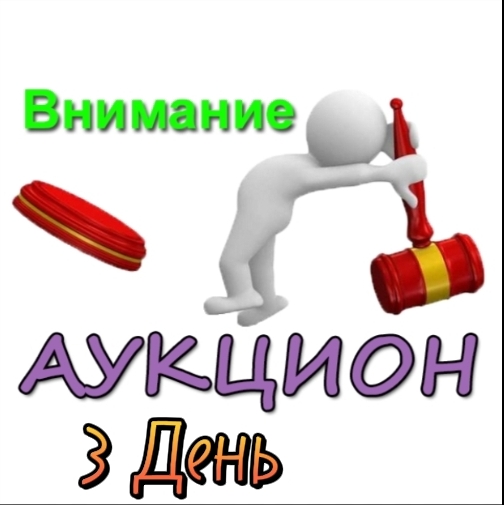 Третий день Аукциона.