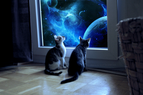 КОСМОГРАФИЯ В ВЕДАХ И В ВЕДИЧЕСКИХ ЗНАНИЯХ. Леонид Тугутов (Лакшми Нараяна дас). Лекция-семинар.