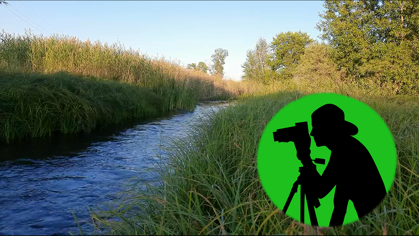 Журчание ручья и пение птиц для расслабления, сна и лечения депрессии/ Целебные звуки природы