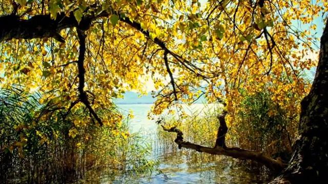 Одержимость духовностью. Как отличить истинные послания от ложных.