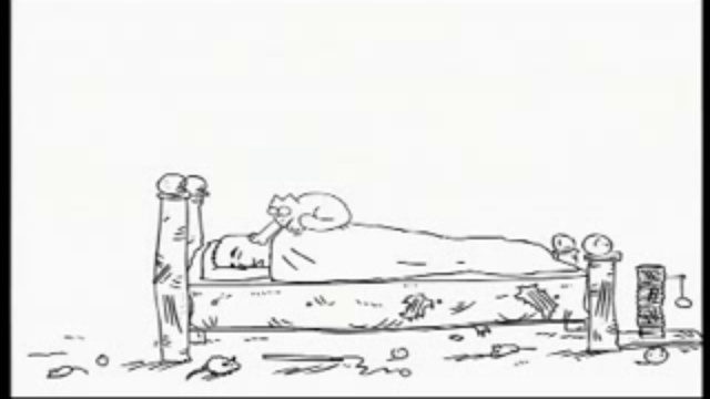 кот саймон знакомтесь!