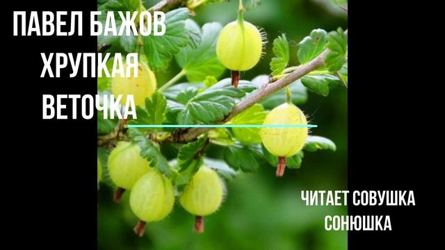 Павел Бажов "Хрупкая веточка"