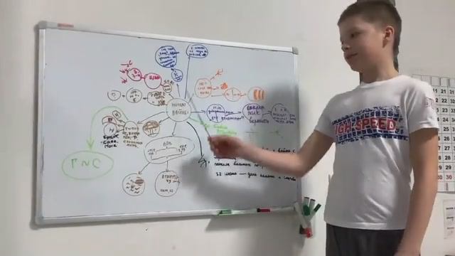 Видеоурок 1. Начало войны