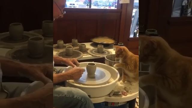 А теперь делай мне вторую миску