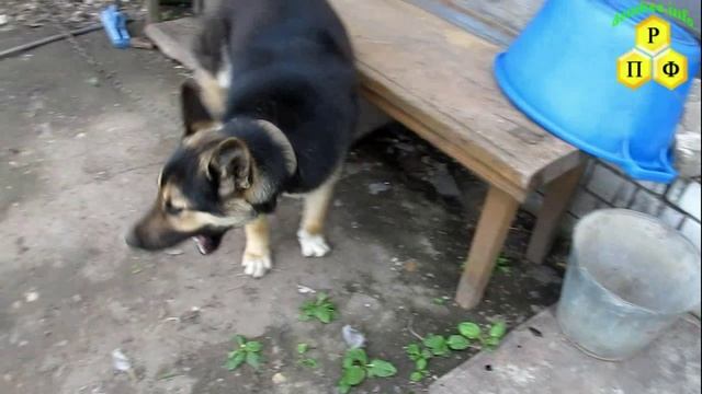 Мой ласковый малыш