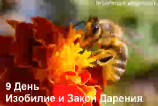 9 День Медитация Изобилие и Закон Дарения