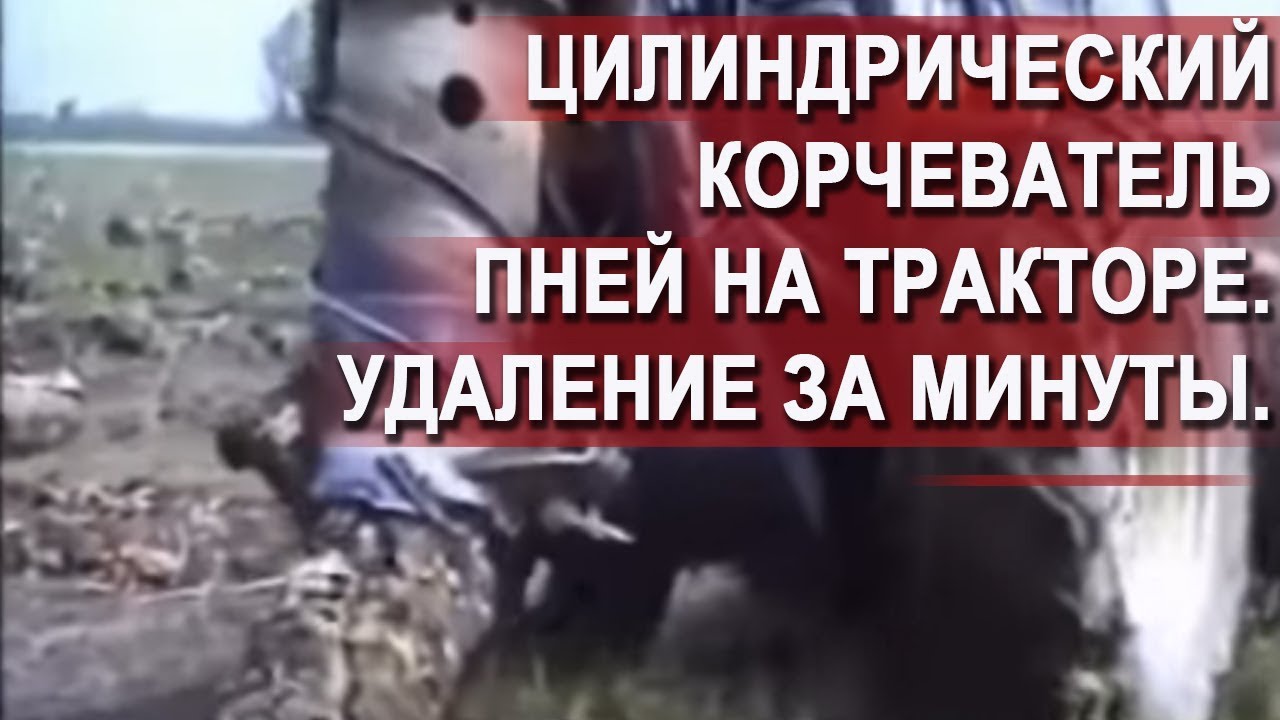 как избавиться от пней