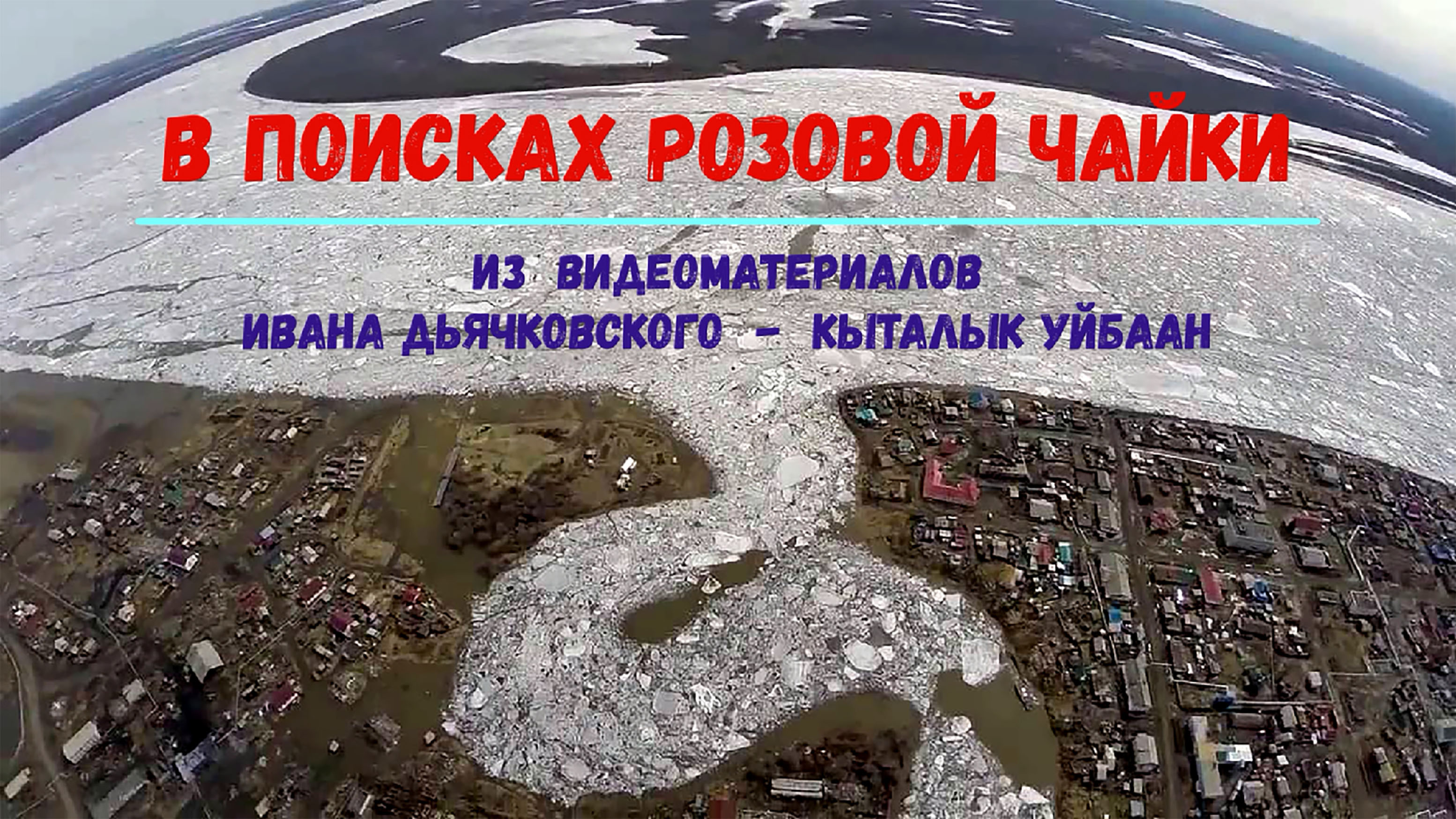 В поисках розовой чайки