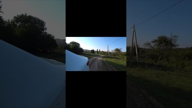 Поездка в лес в Краснодарском крае..