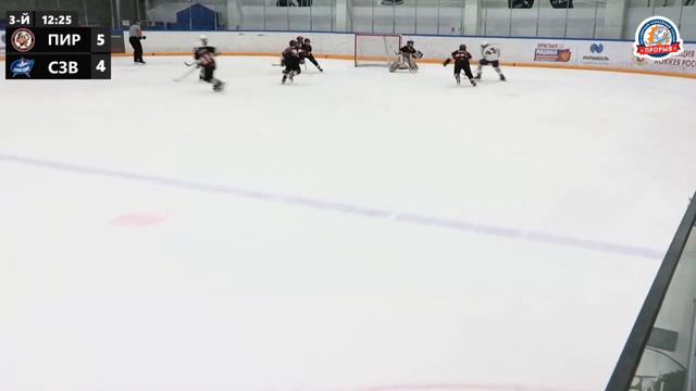 Arena of Pleasure (апрель-май 2024)