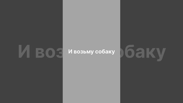 Не жди, ведь они могут не дождаться. Возьми собаку из приюта сейчас