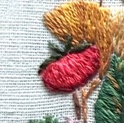 Мастер-класс "Ягода шиповника"