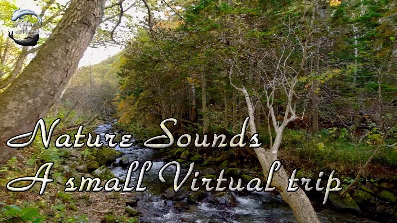 Прогулка по лесу вдоль реки к водопаду. Звуки природы.