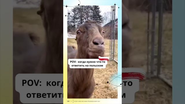 Знакомо? 😁