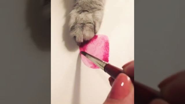 Я - художник. Я так вижу.