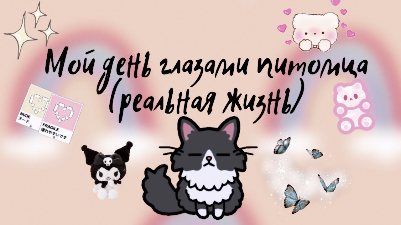 Мой день глазами питомца ???_♀️ ___ тока бока ___ toca boca ___ Secret Toca.