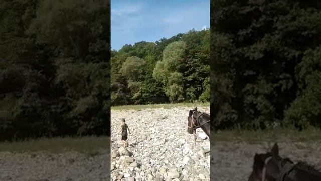 Конные прогулки в Лазаревском