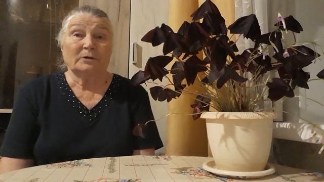 " КРАСАВИЦА  ЗНАХАРКА - ОБОРОТЕНЬ " Мистическая история из моей жизни.