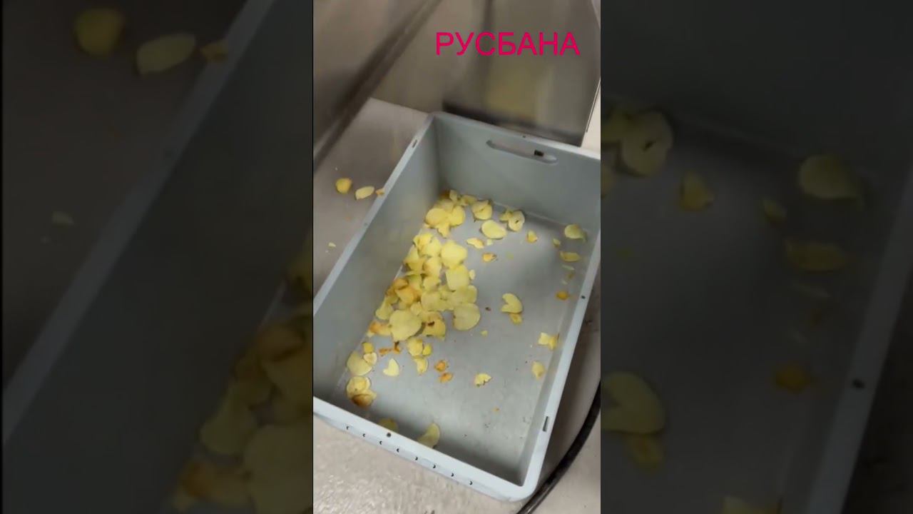 Оптический сортировщик картофельных чипсов с камерами высокого разрешения