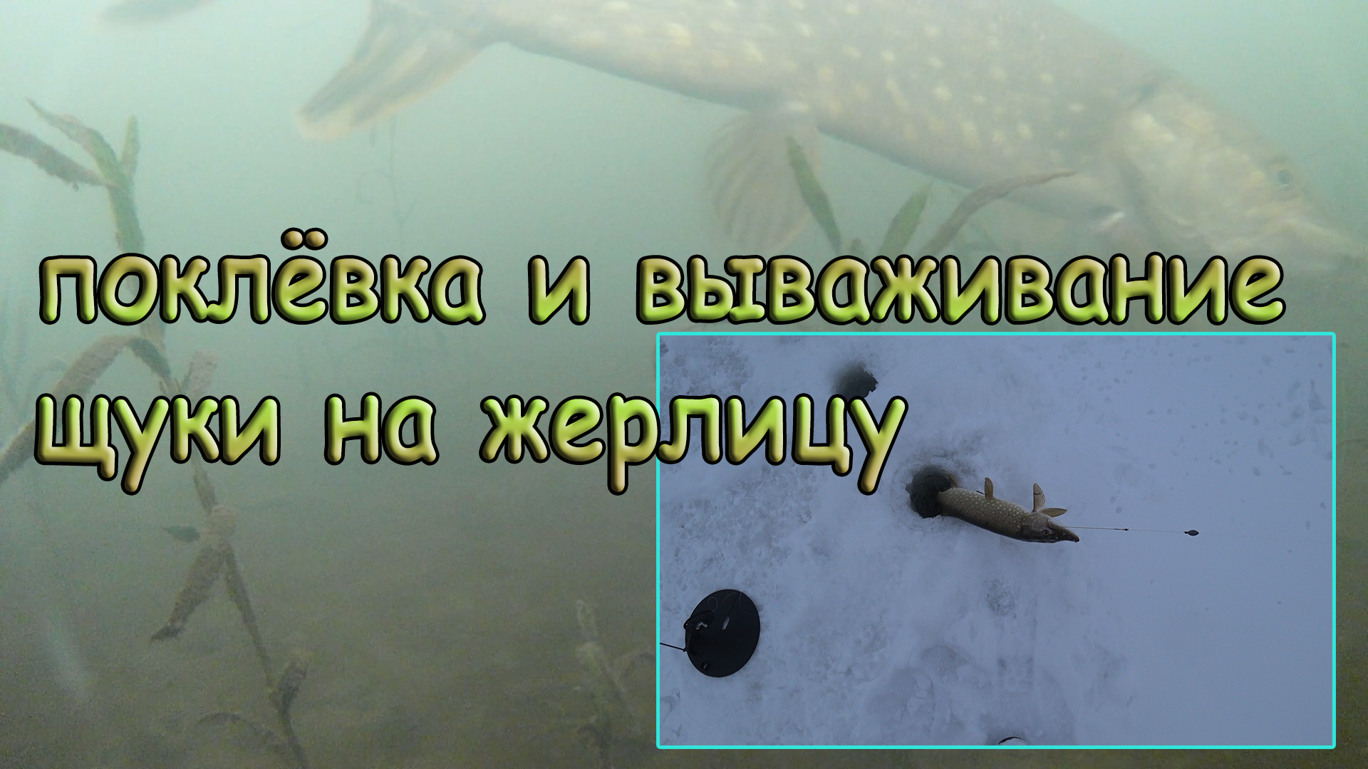 Щука на жерлицы в феврале! Подводная камера сняла поклёвку!Нюанс, который заставил зубастую клевать!
