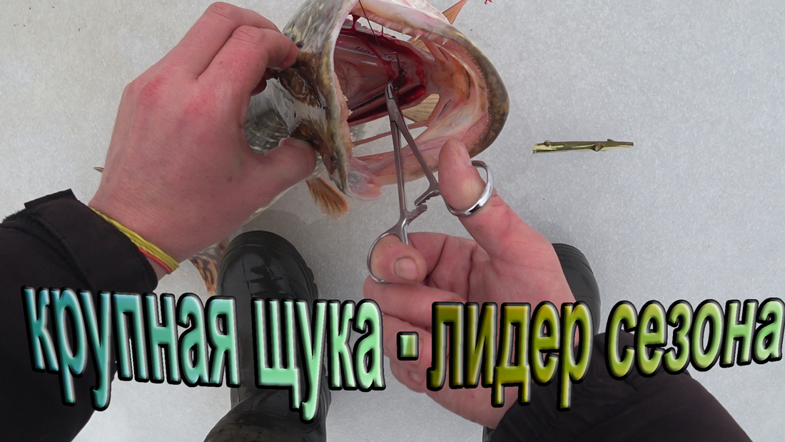 Поймал самую крупную щуку сезона! Леска трещала, но выдержала! Рыбалка на жерлицы зимой!