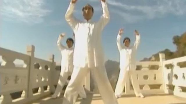 8 кусочков парчи