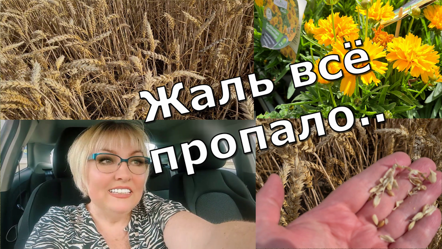 Жаль,  всё пропало .mp4